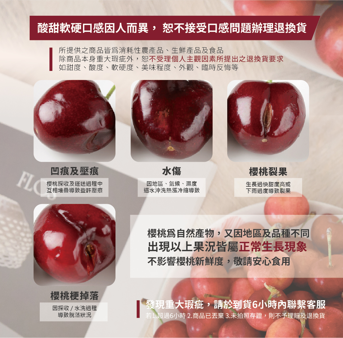 小樹之丘-8.5R『北極熊』華盛頓櫻桃2.5kg(原箱裝)