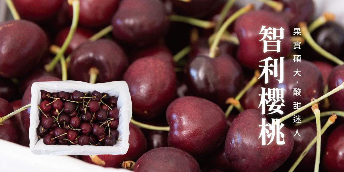 小樹之丘-智利櫻桃3JD/1kg(禮盒)